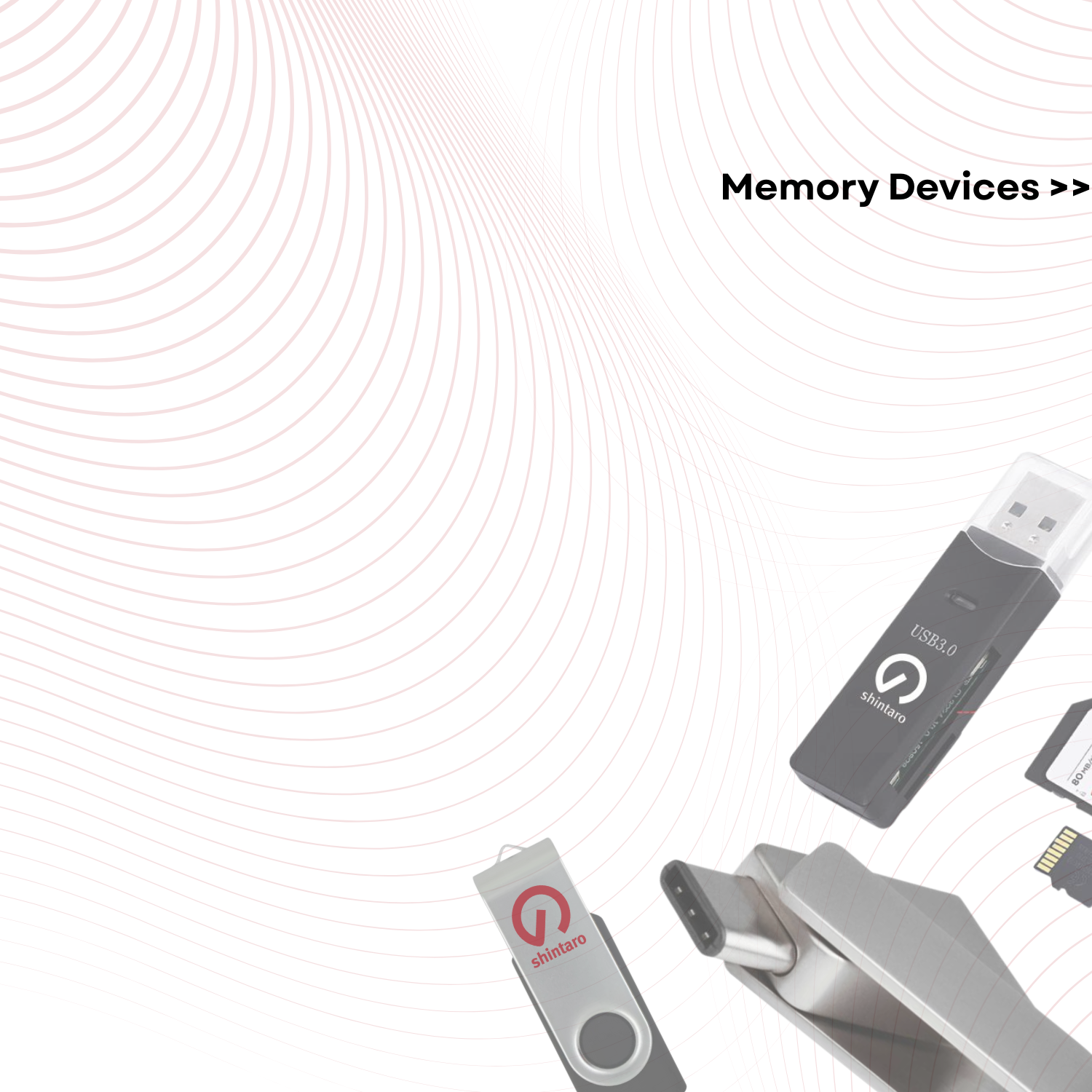 Memory Devices – Shintaro